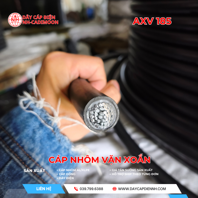 Cáp Nhôm Vặn Xoắn AXV 1x300mm² XLPE – 0.6kV TCVN 6447